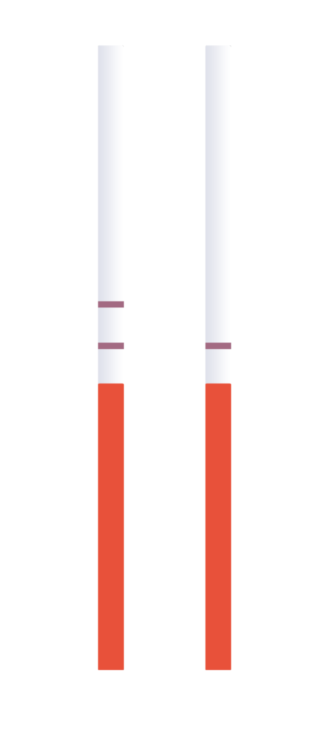 Premature Rupture of Membranes (Diagnosis and Rapid Tests) - Natech ...